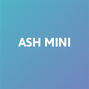 Ash Mini